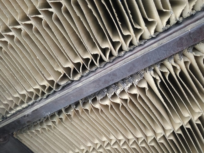 Transit Damage SCR Cat